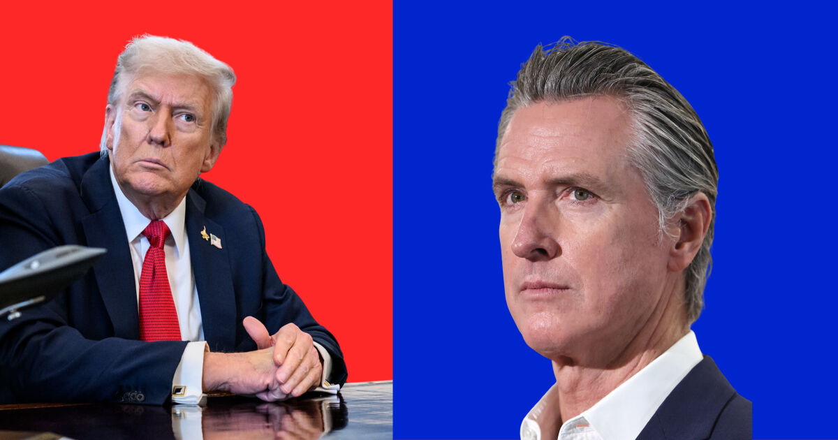 “Perfect Description. He Spreads Fast”: Gavin Newsom Drops New 3-Word ...