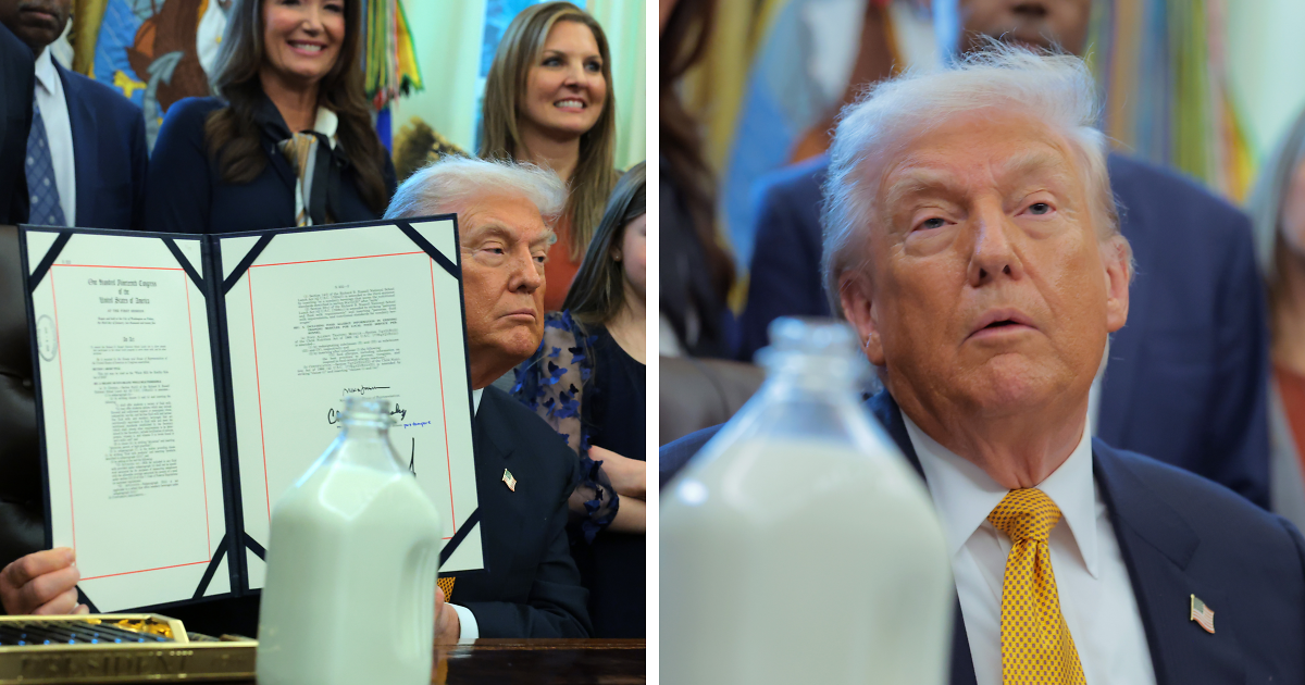 “We Have a Toddler for President”: Trump Roasted After Explaining How ...